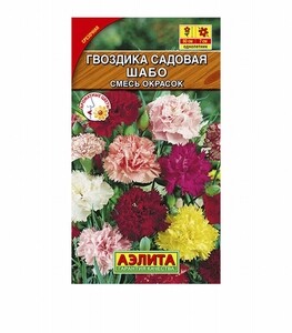 Гвоздика садовая Шабо смесь окрасок Аэлита — купить в Санкт-Петербурге ...